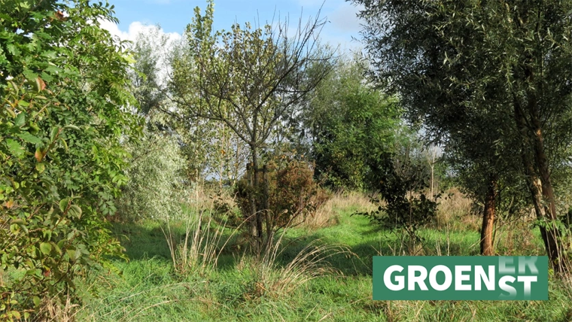 Hoe staat het nu met: natuur en biodiversiteit bij Voedselbos ...