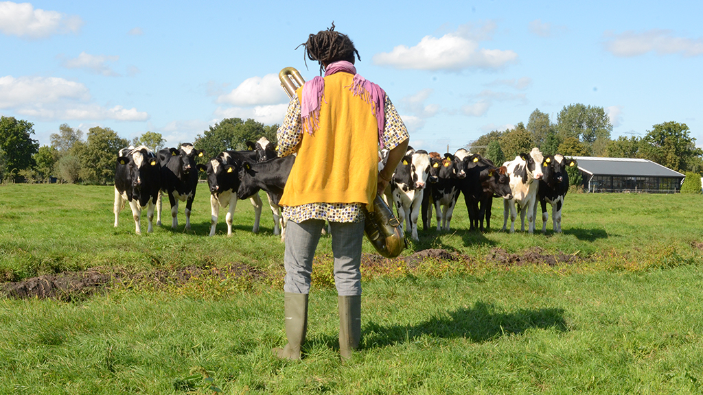 Uitgaanstips van de week: twee festivals en cabarestafette - Studio Alphen